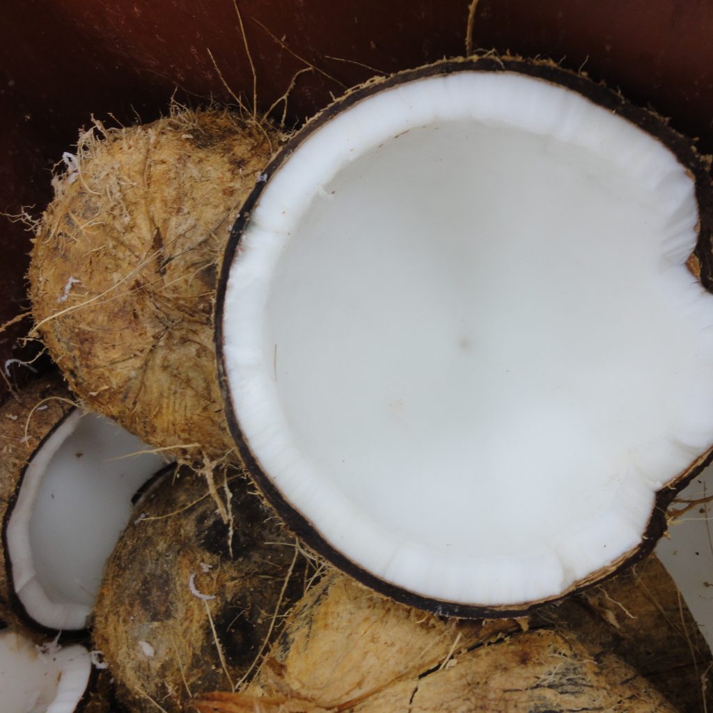 VCO Processing – ORGANIC (NATURAL) FOODS & FRUITS CROWN ALL NATURAL